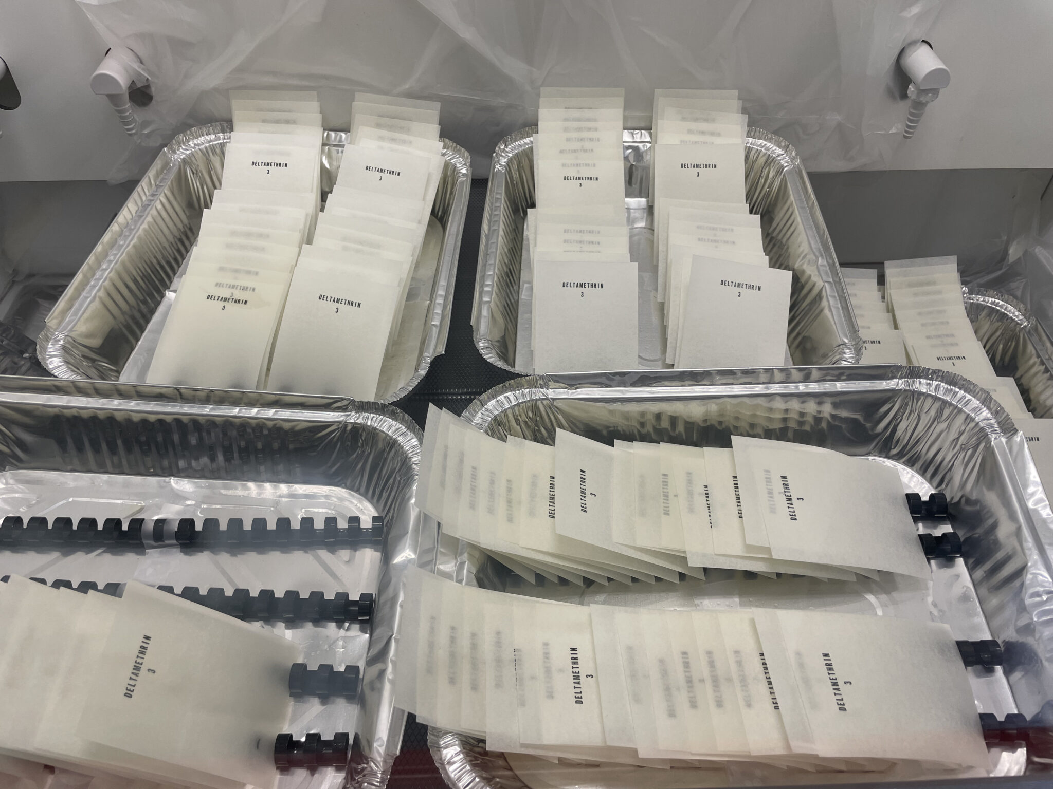 Tick resistance bioassays - Expert Consultations on Ticks and Tick ...